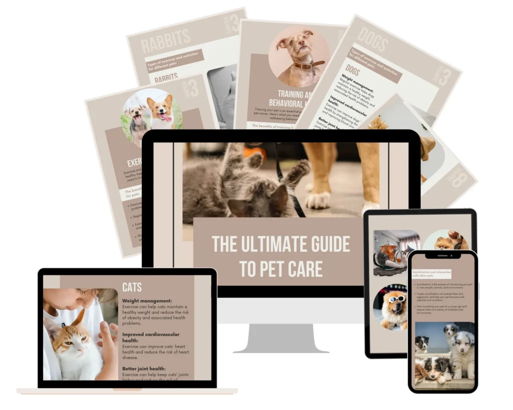 Pet Care Templates Bundle - Zesty Limes